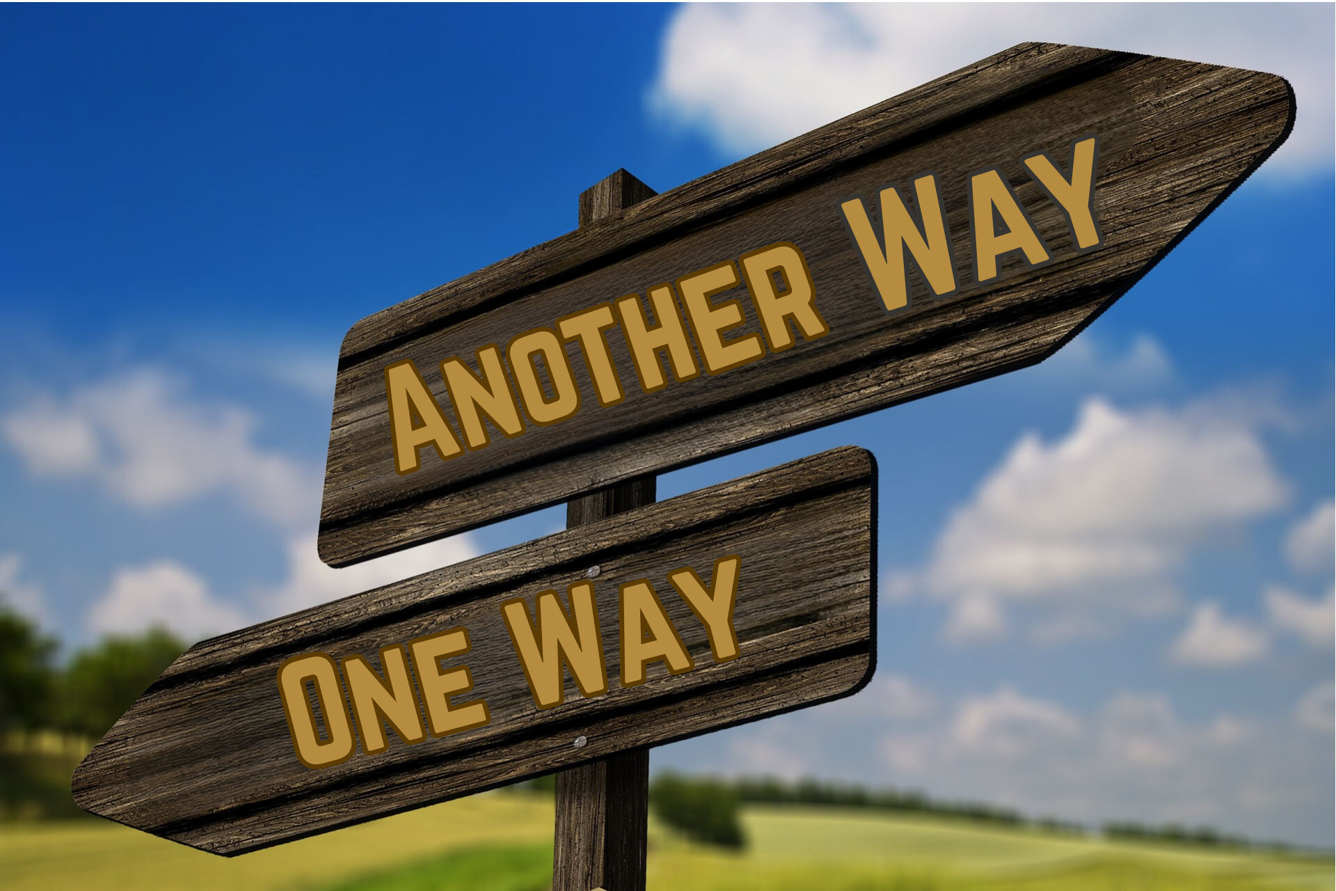 Wayfinding – Belle Stanley